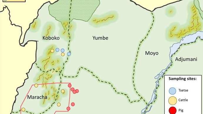 Tsetse | Programs and information to assist in the planning and ...