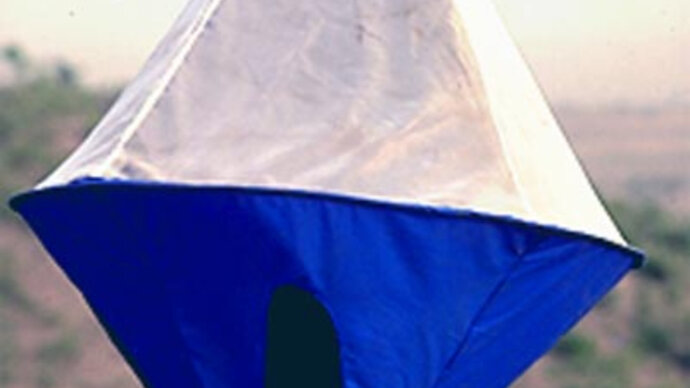 Why are most traps coloured blue and black? | Tsetse