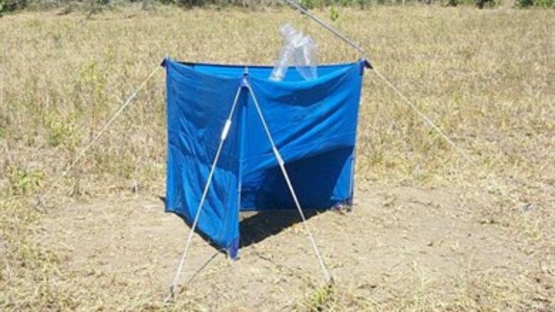 What is the best trap for catching tsetse? | Tsetse