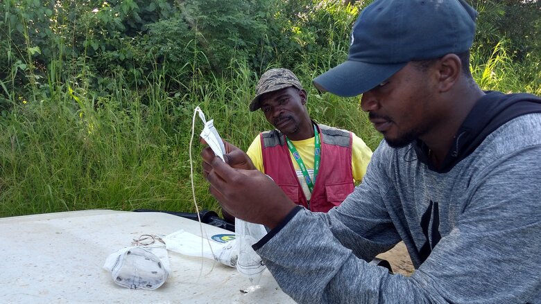 Bait technologies | Tsetse