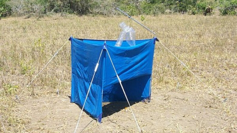 Epsilon trap | Tsetse