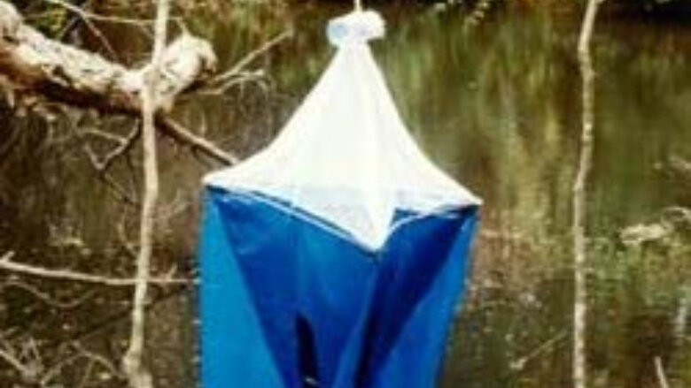 Pyramidal trap | Tsetse