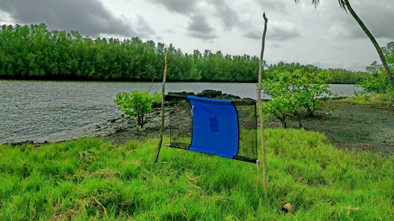 A quick manual for assembly and use of a trap and a Tiny Target. | Tsetse