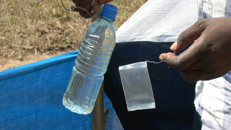 Do I need to use attractants with a tsetse trap? | Tsetse