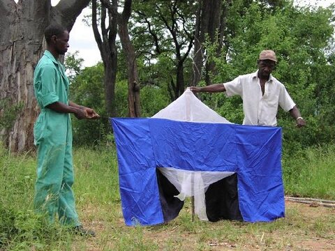 How to assemble an Nzi trap | Tsetse