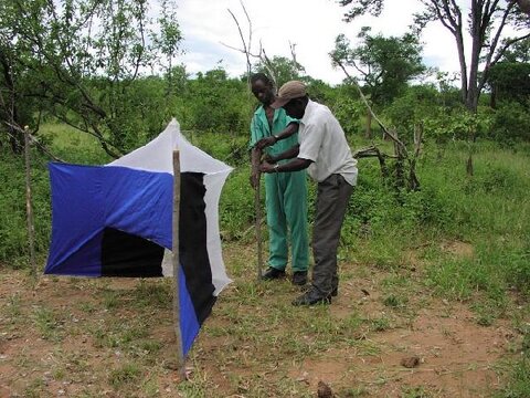 How to assemble an Nzi trap | Tsetse