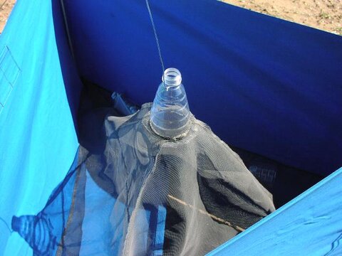 How to make a plastic cage for tsetse traps | Tsetse