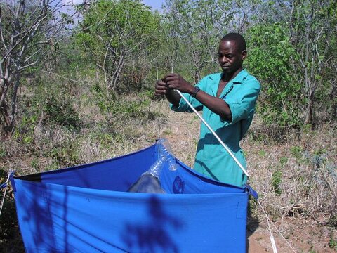 How to make a plastic cage for tsetse traps | Tsetse
