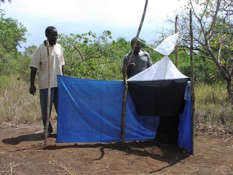 What is the best trap for catching tsetse Tsetse